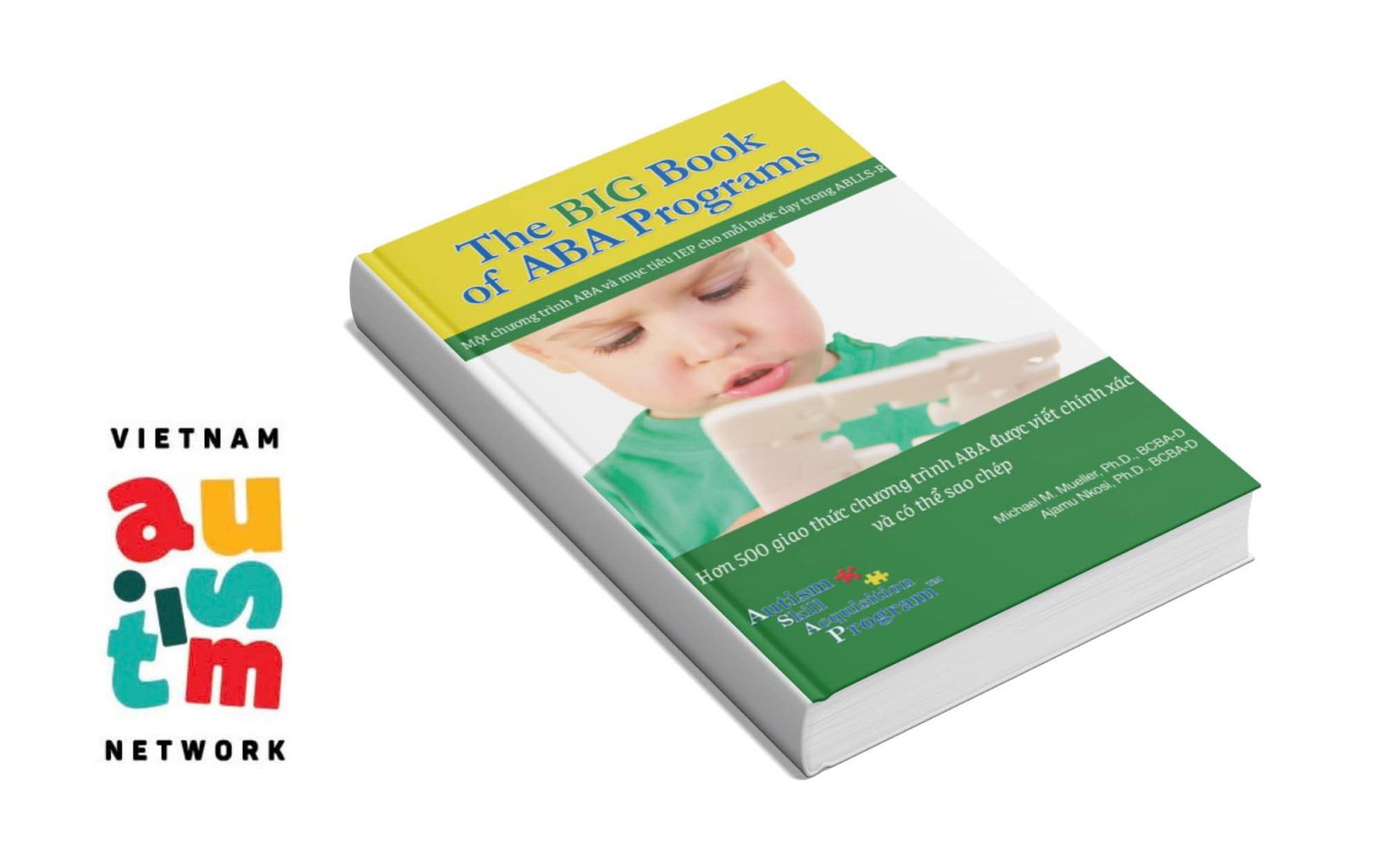 Lớp tập huấn Chương trình The Big Book of ABA Programs của Viện kết hợp ...